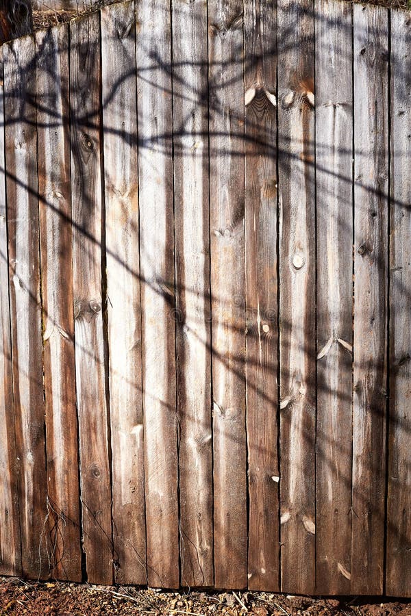 Fence Made of Wooden Slats and Snow on a Winter Day. Location ...