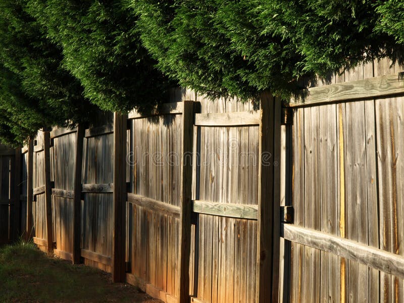 Wooden Fence with Overhanging Trees Stock Image - Image of farm ...