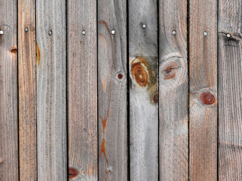 Wooden Fence. Texture. Picture Image: 5415134