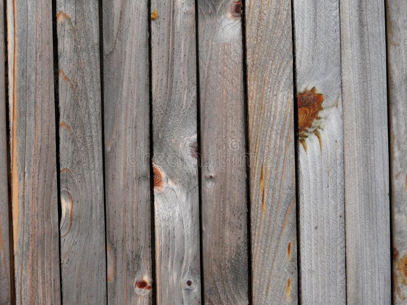 Wooden Fence. Texture. Picture Image: 5415159
