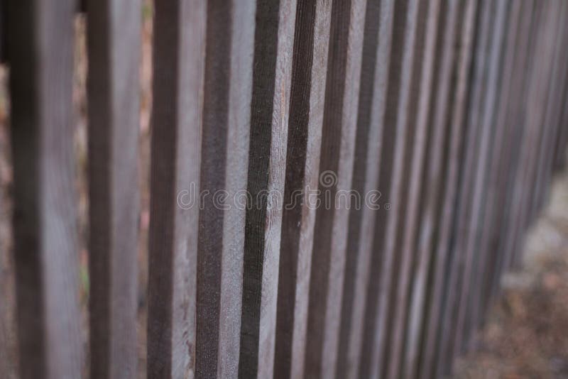 Wooden Fence and Tree, Shots with Side View Stock Photo - Image of park ...