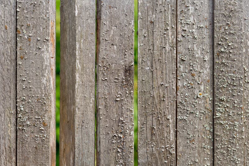 Old Wooden Fence Wood Surface Texture Background Rustic Stock Photo ...