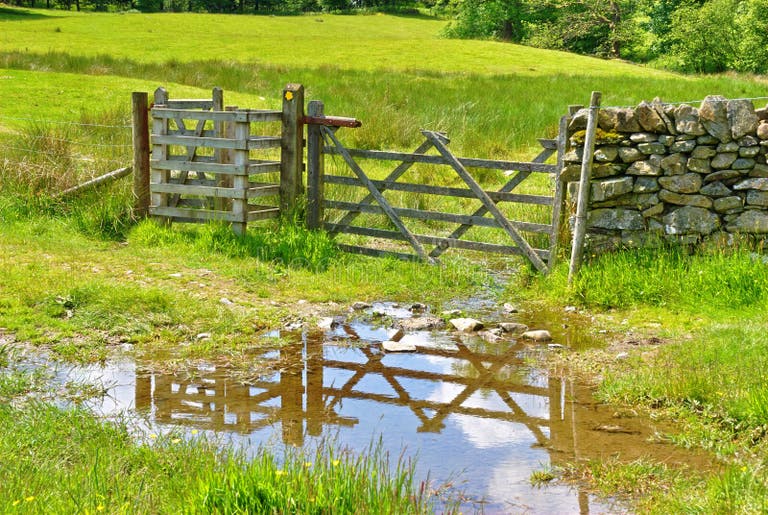 Wooden Field Gate Reflected in Puddle Stock Image - Image of grass ...