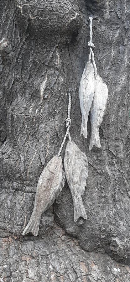 Wooden Fish Hanging Off Tree Trunk Stock Image - Image of artwork ...