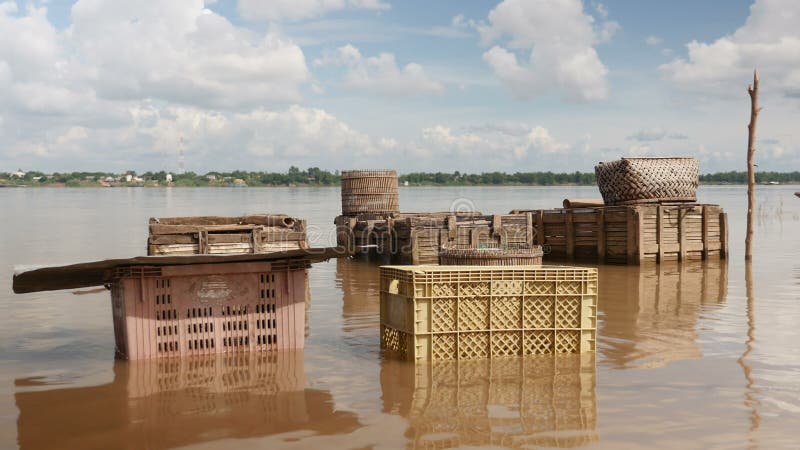 Fish Catch Kept in Crates and Boxes in Shallow River Waters ( Close Up ...