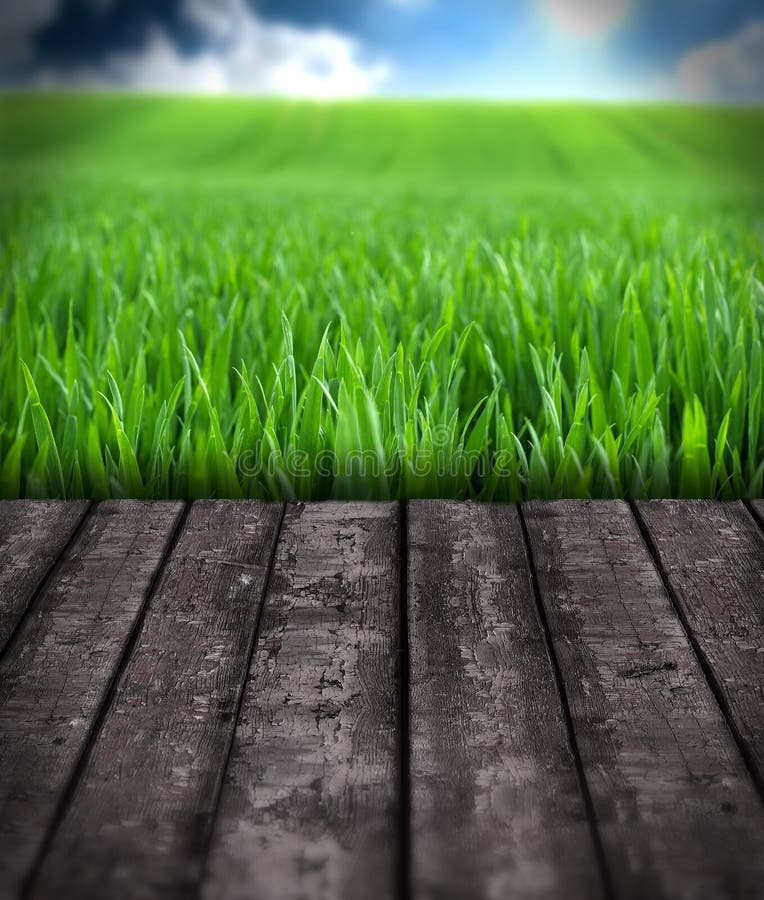 Wooden floor with grass stock image. Image of land, gardening - 45956161