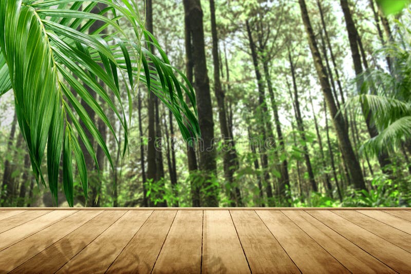 Wooden Floor with Green Trees and Palm Leaf Stock Photo - Image of ...