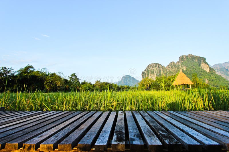 Wooden Floor with Paddy Field Stock Photo - Image of landscape, wooden ...