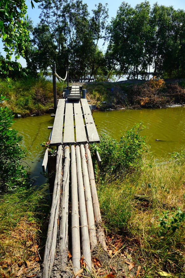 Wooden Foot Bridge Over the River Stock Image - Image of river, narrow ...