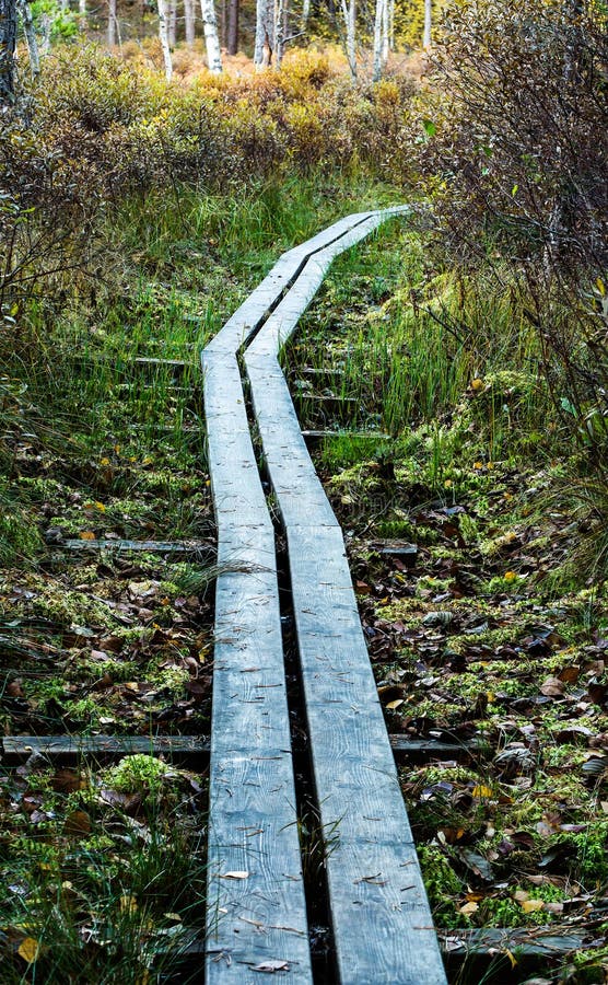 Wooden foot-bridge stock image. Image of hike, used, bush - 61645437