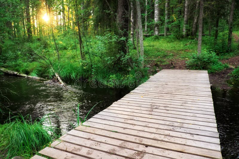 Wooden Footbridge Across Stream in the Forest at Sunset Stock Image ...
