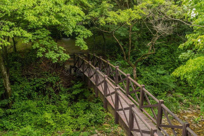 Wooden Footbridge Over Small Stream in Rural Public Park Stock Photo ...