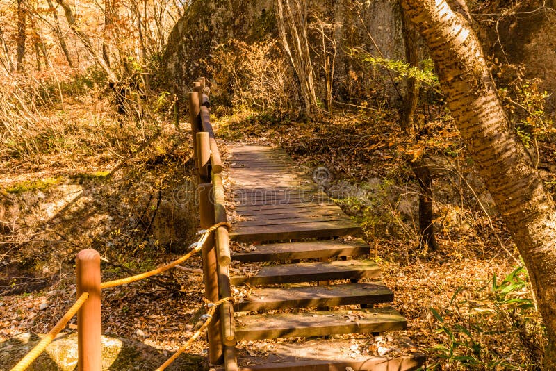 Wooden Footbridge Over Small Stream Stock Image - Image of forest ...