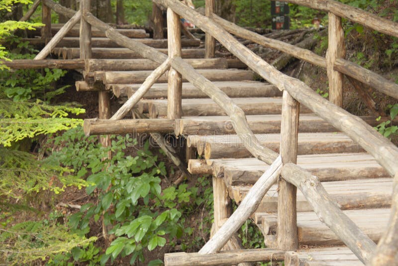 Wooden Footbridge Over a Stream Stock Image - Image of provisional ...