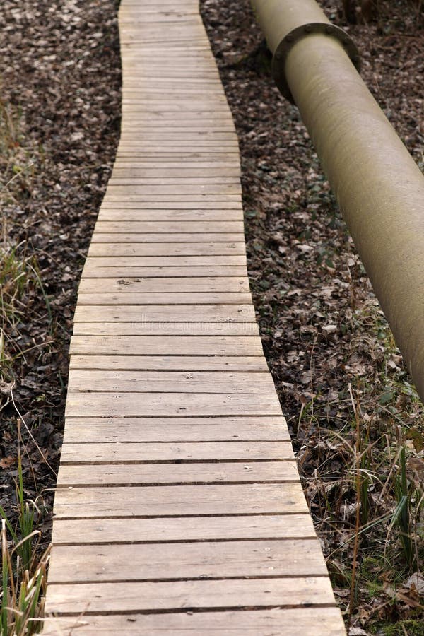Wooden Footbridge Wooden Path Bridge Stock Image - Image of beach ...