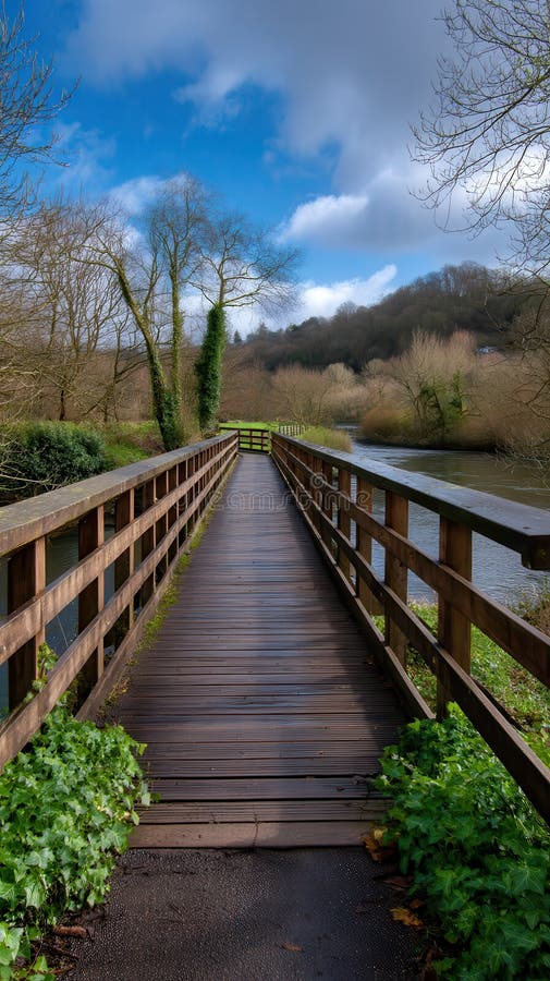 Wooden Footbridge Path Over Water in Forest with Trees and Sky Stock ...