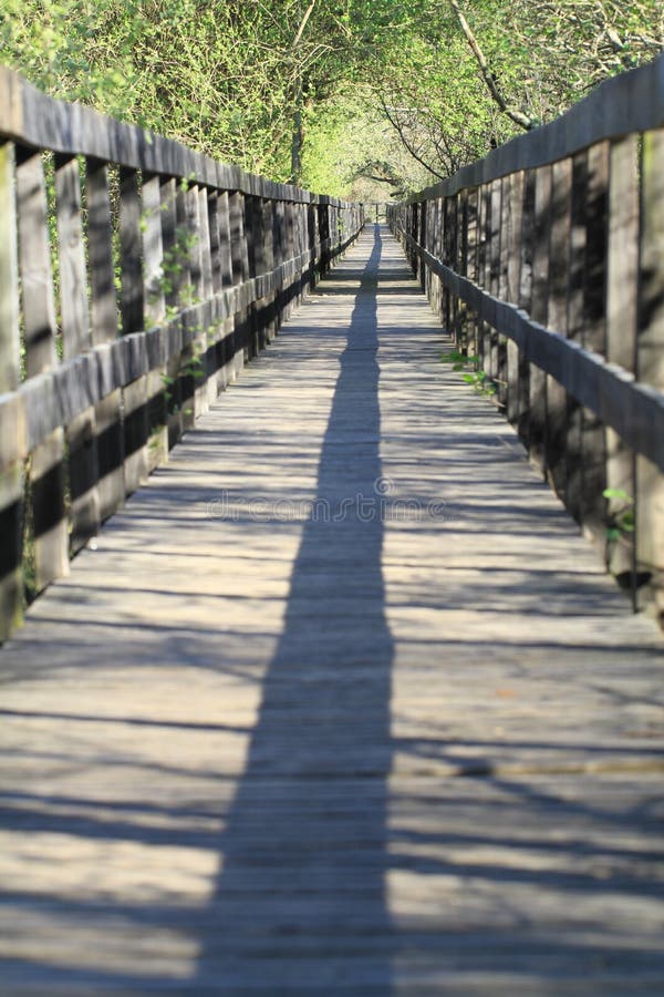 Wooden footpath stock image. Image of wooden, footpath - 18903339