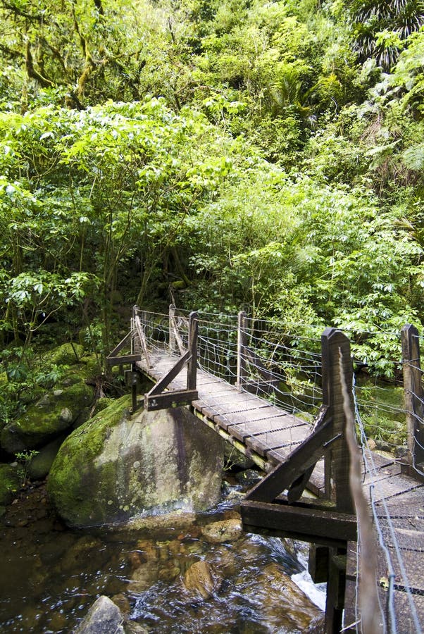 Wooden Footpath Over Bridge Stock Image - Image of vertical, dirty ...