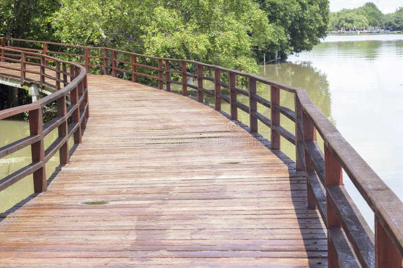 Wooden Footpaths in the Mangrove Forest at Stupa in the Middle of River ...