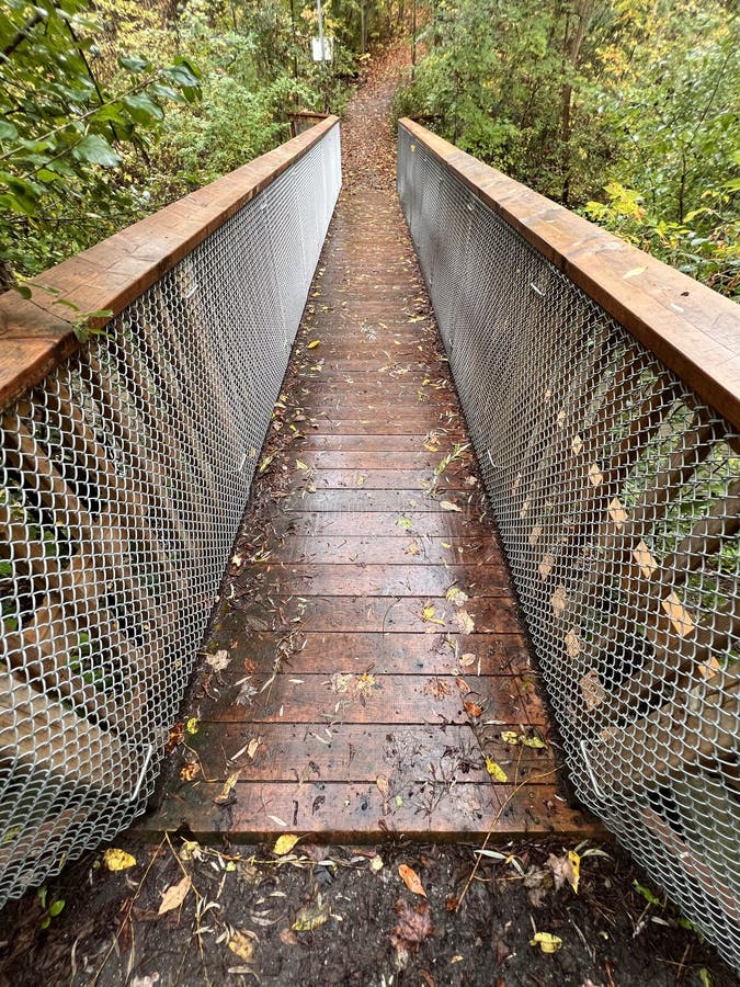 Wooden forest foot bridge stock photo. Image of wire - 233664132