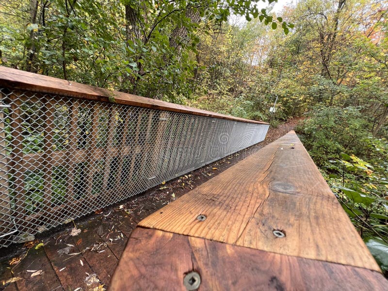 Wooden forest foot bridge stock image. Image of park - 233664141
