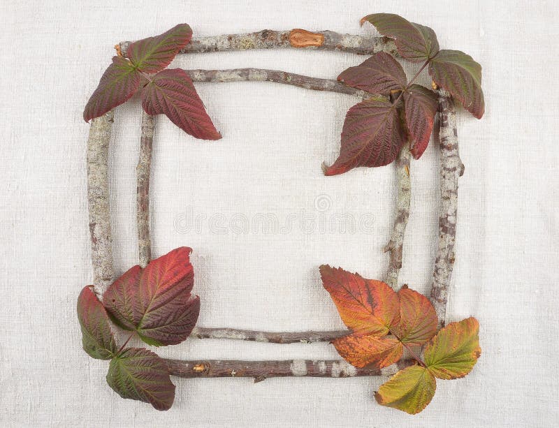 Wooden Frame with Bramble Leaves Stock Photo - Image of frame ...