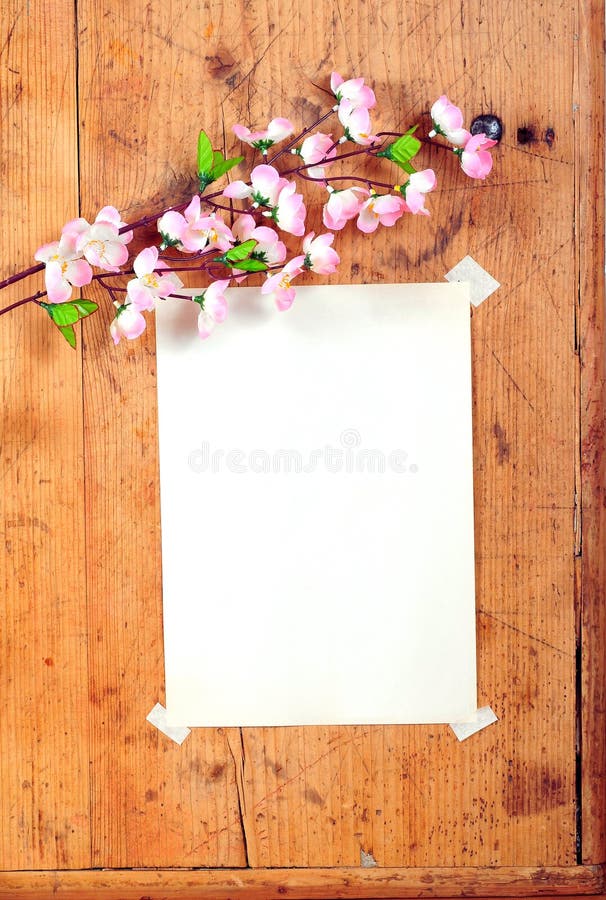 Old wood frames Spring stock photo. Image of flowers - 18441258