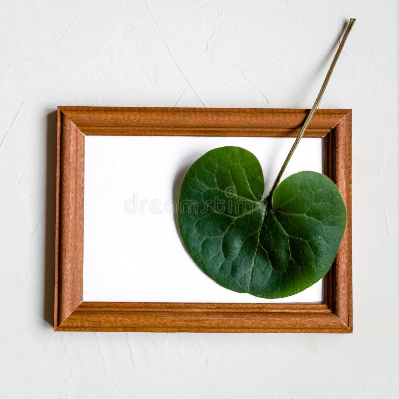 Leaf Framework in antique stock photo. Image of edge - 10894398