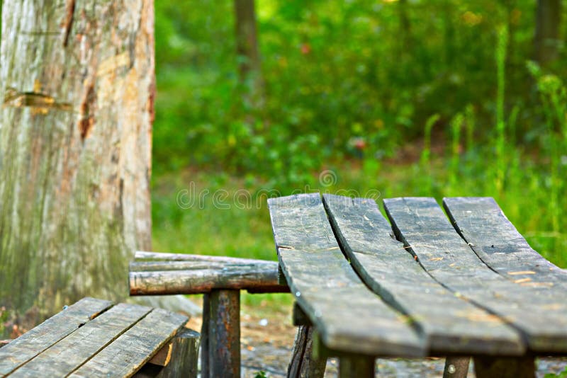 Wooden Garden Bench with Table in Nature. Stock Image - Image of grass ...