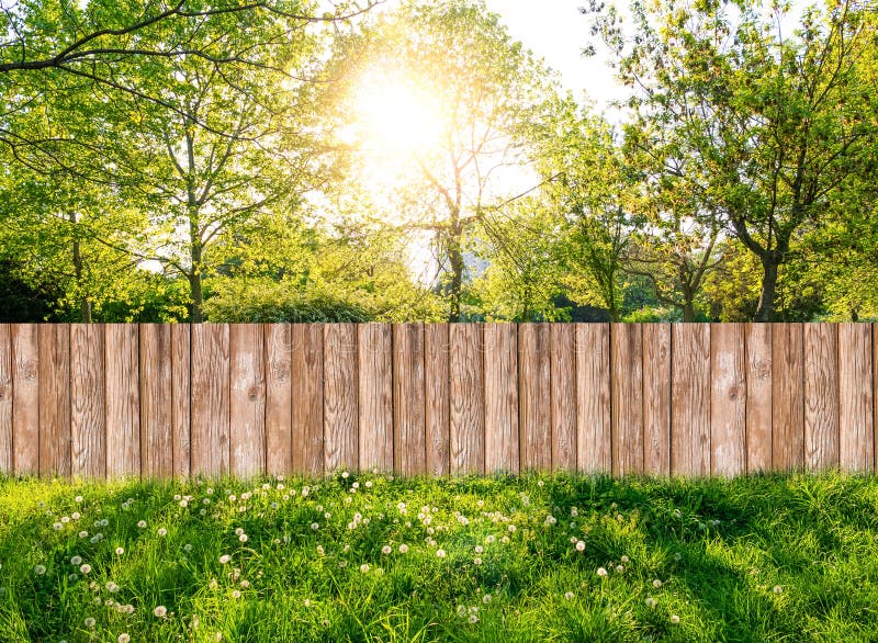 Wooden Garden Fence at Backyard in Spring Stock Photo - Image of green ...