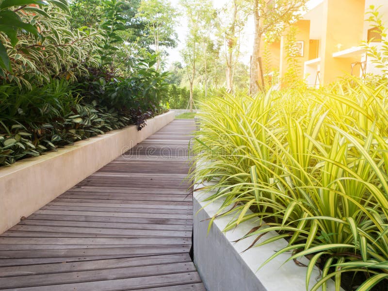 Wooden Garden Footpath at Natural Garden. Stock Photo - Image of flower ...