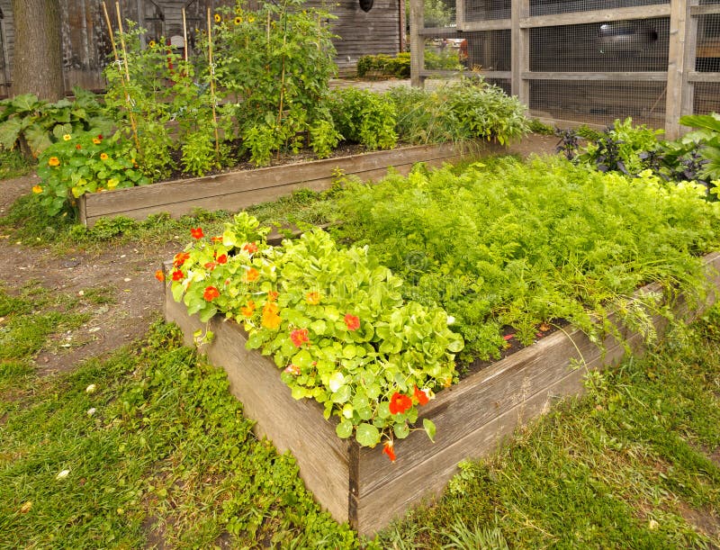Wooden garden frames stock image. Image of plant, gardening - 58092769