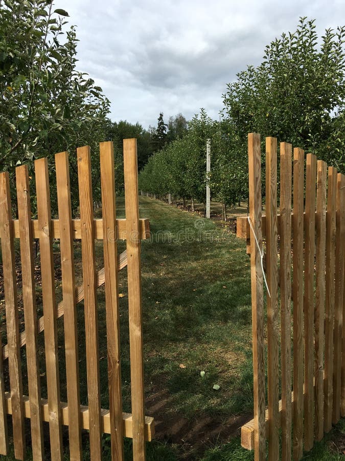 Wooden garden gate stock image. Image of flower, summer - 76935477