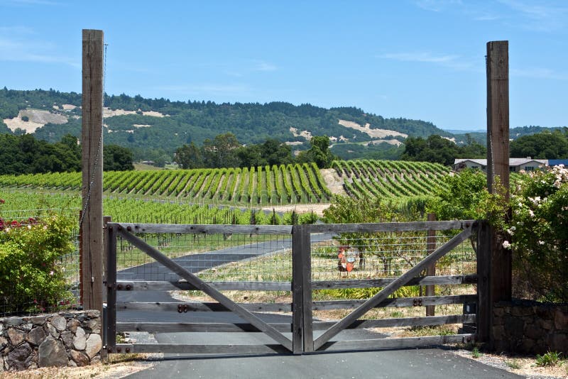 Wooden Gate Entrance To Vineyard Stock Image - Image of rows, fruit ...