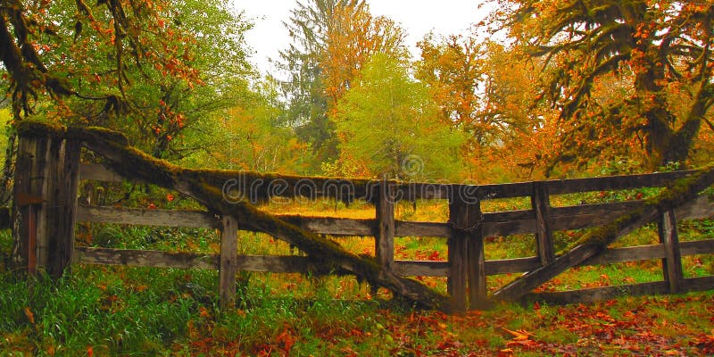 Wooden gate in forest stock image. Image of leaves, country - 21852387
