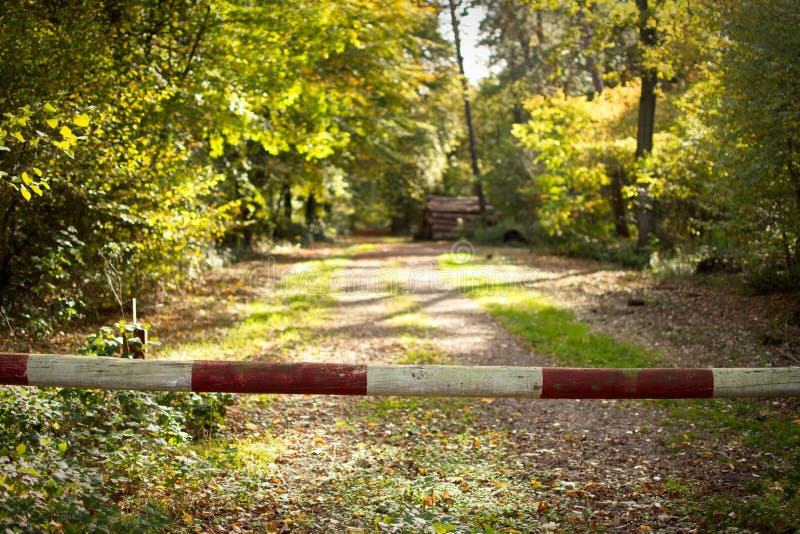 Wooden gate on forest path stock photo. Image of outdoor - 162182986