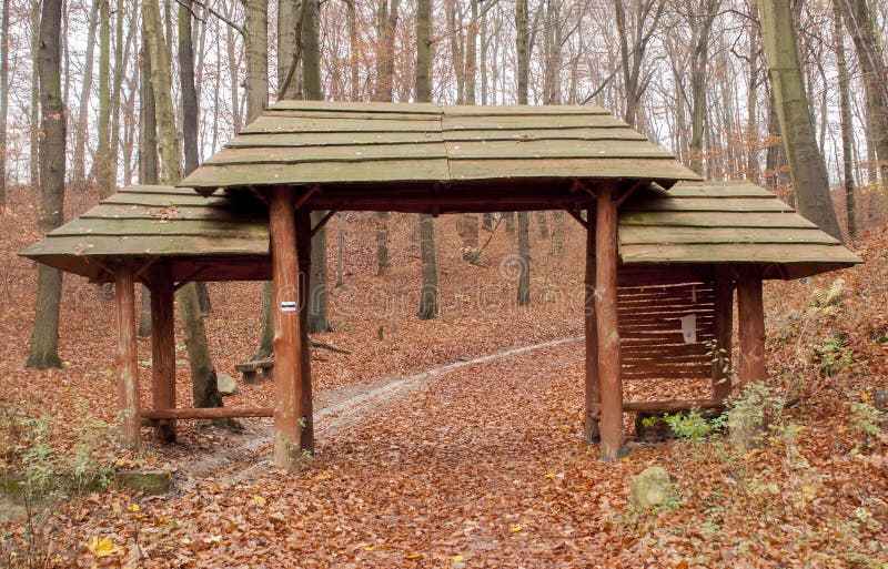 Wooden gate in the forest stock image. Image of hill - 47652535