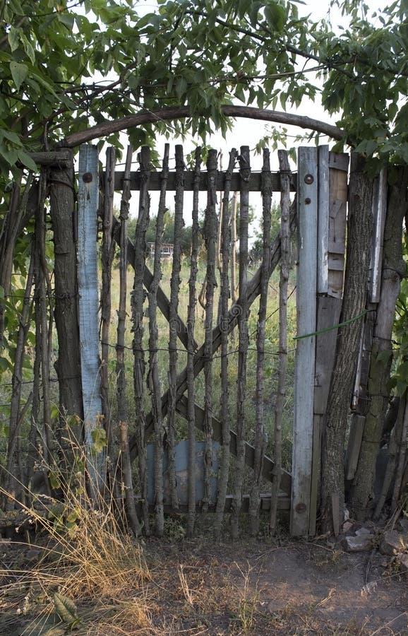 Wooden gate in the garden stock photo. Image of forest - 212872184