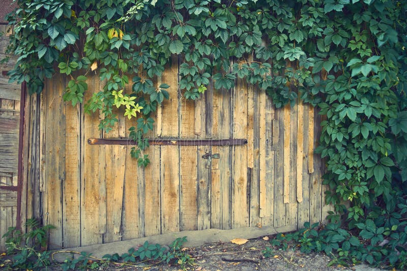 Wooden Gate and Green Bushes Stock Image - Image of garden, rural ...
