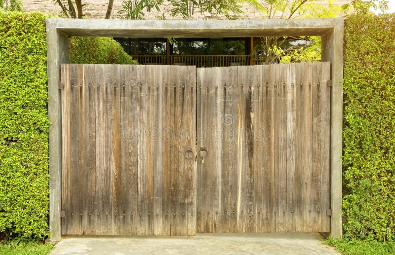 Gate in green stock photo. Image of rambler, wood, botanic - 2811980