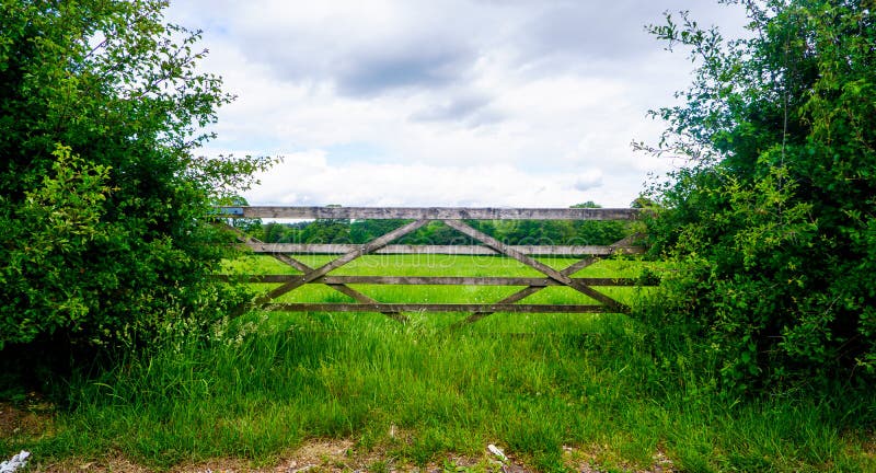 Wooden Gate with Open Field and Hawthron Hedge Stock Photo - Image of ...