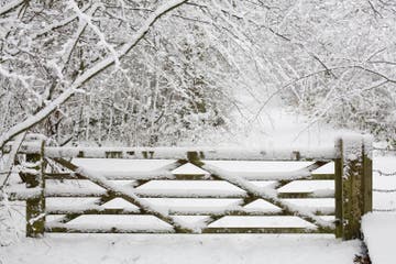 Wooden gate in snow stock image. Image of pristine, covered - 6251171