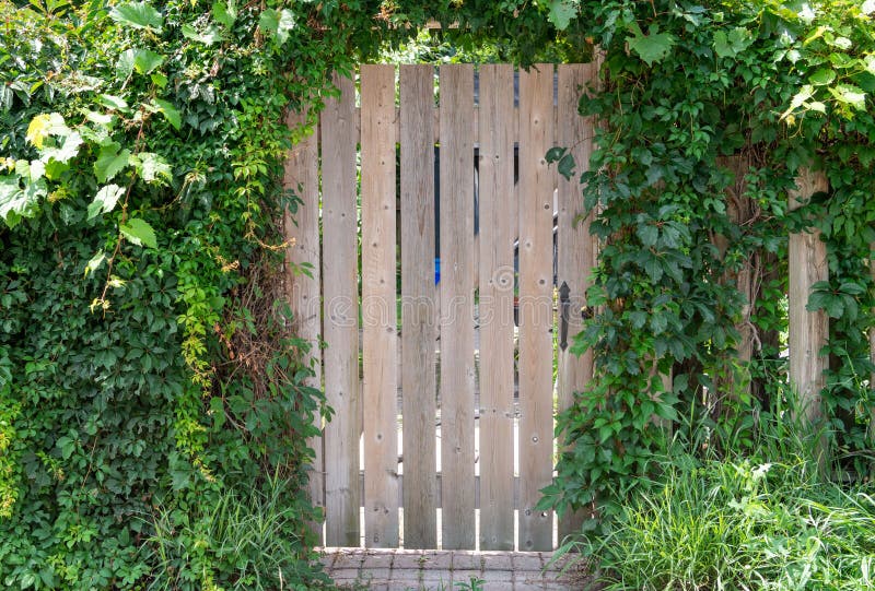 Wooden Gate Surrounded with Greenery Stock Photo - Image of flower ...