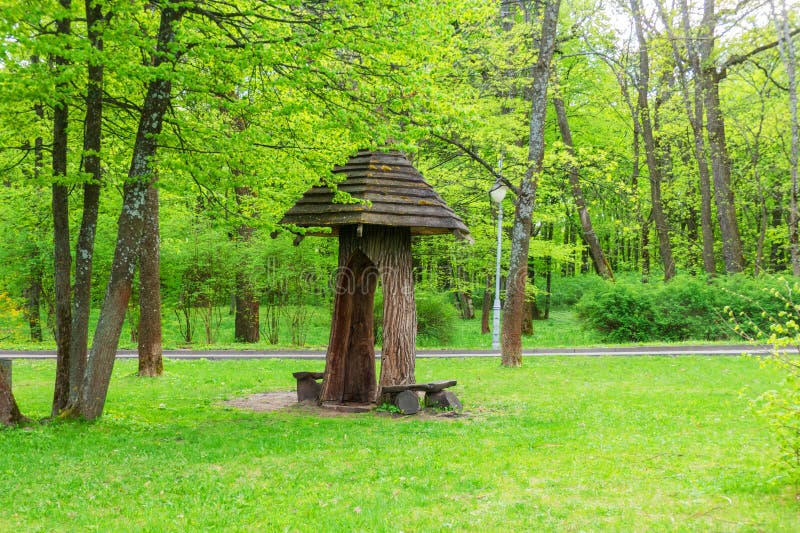 Wooden Gazebo in the Spring Forest Made in a Tree Trunk Stock Image ...
