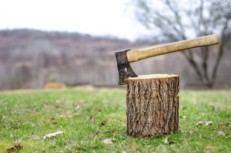 198 Stabbed Hand Stock Photos - Free & Royalty-Free Stock Photos from ...