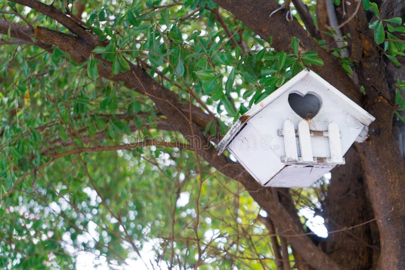 Wooden Handmade Bird House on a Tree in the Park Stock Image - Image of ...