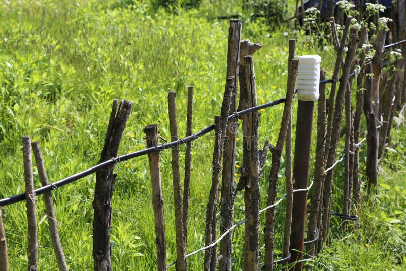 Wooden Handmade Fence Made of Irregularly Cut Tree Branches Stock Image ...