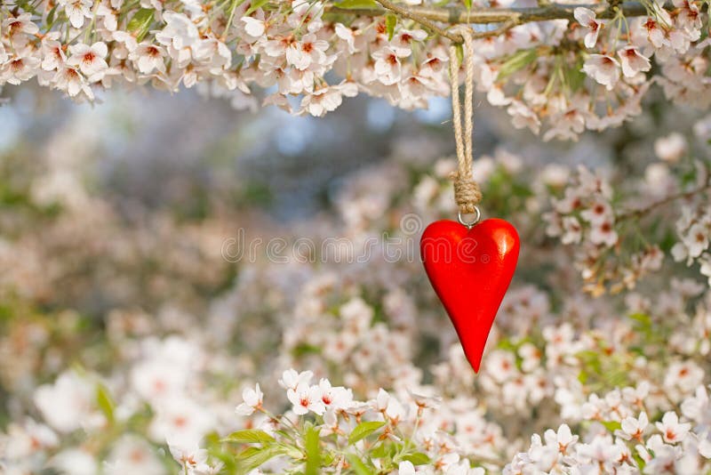 Red Heart in the Spring Flowers Stock Photo - Image of maytradition ...