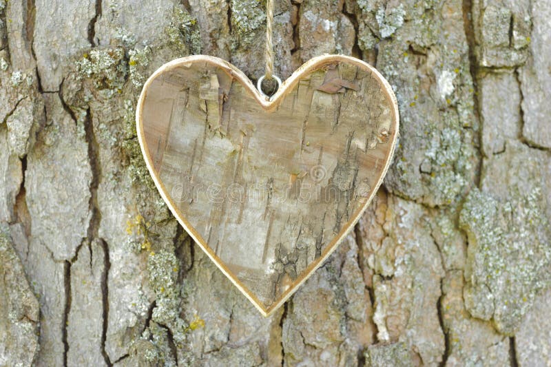 Wooden heart on tree stock photo. Image of textured, mark - 41840444