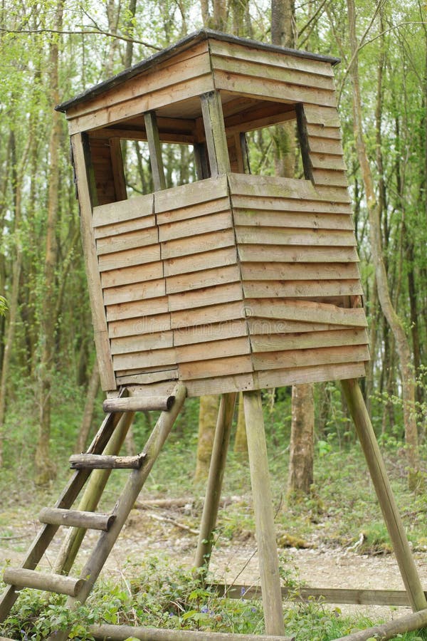 Wooden hide in a forest stock image. Image of greenery - 53673189